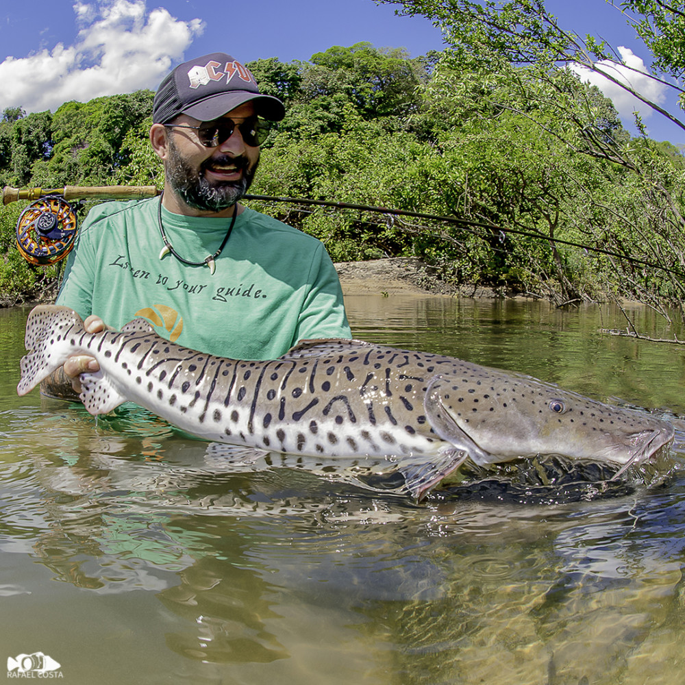 CATCH & RELEASE RULES